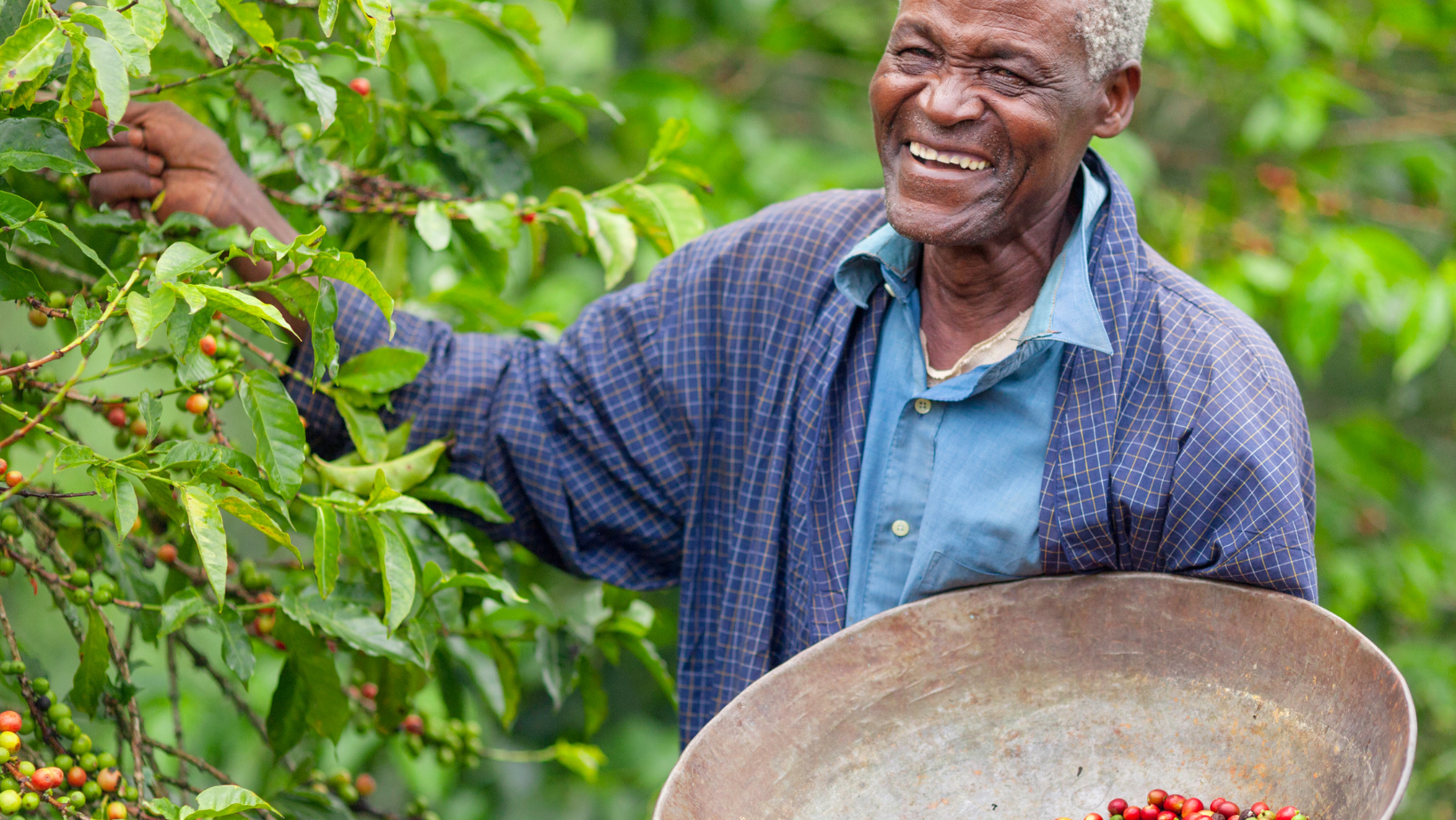 How to Trade Coffee: A Comprehensive Guide